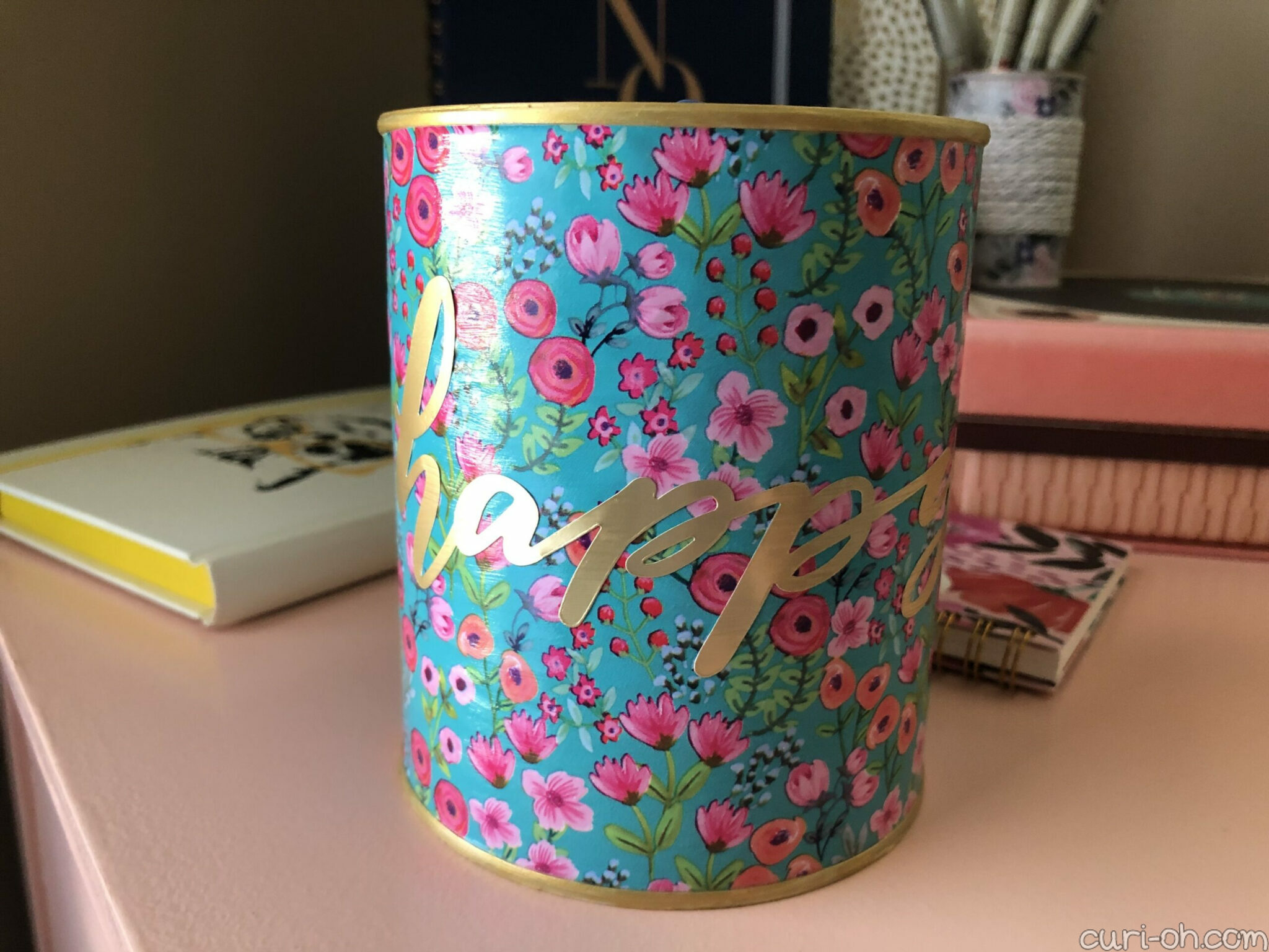 Tin Cans Repurposed to Pencil Cups – Curi-Oh!